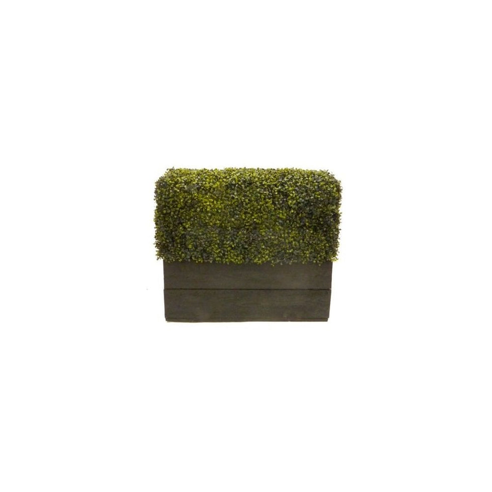 Artificial Boxwood Hedge Boxes – Composite Decking Company